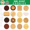 Wilderness Explorer Badges Clipart Badges Clipart Scout Clipart Camping ...