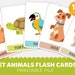 Pet Animals Flashcards Pets Flashcards Printable Animals Flash Cards ...