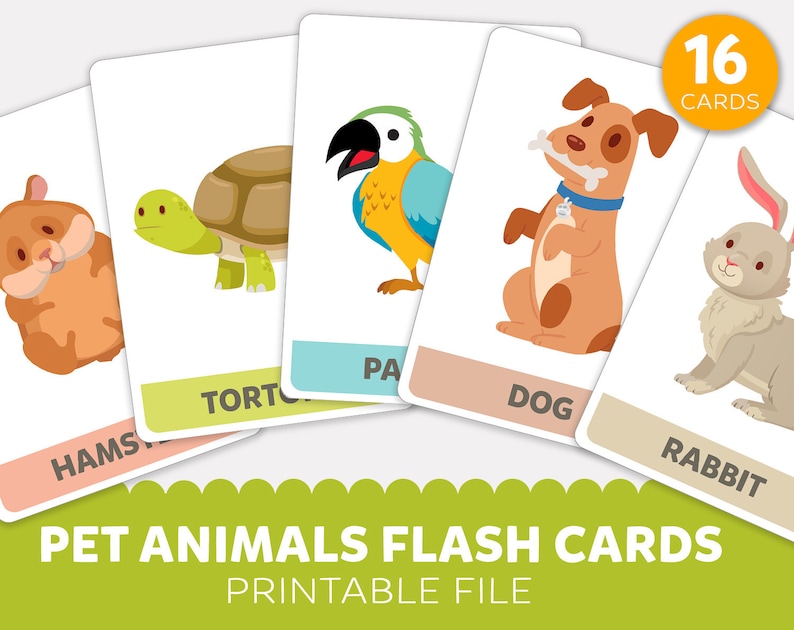 Pet Animals Flashcards Pets Flashcards Printable Animals Flash - Etsy