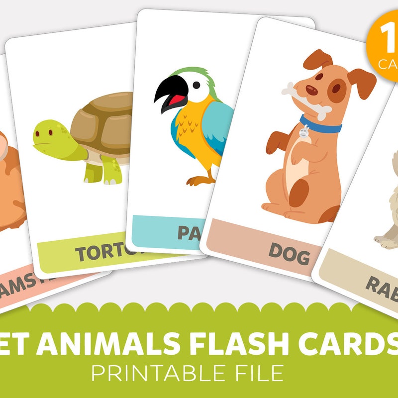 Animal Flash Cards - Etsy