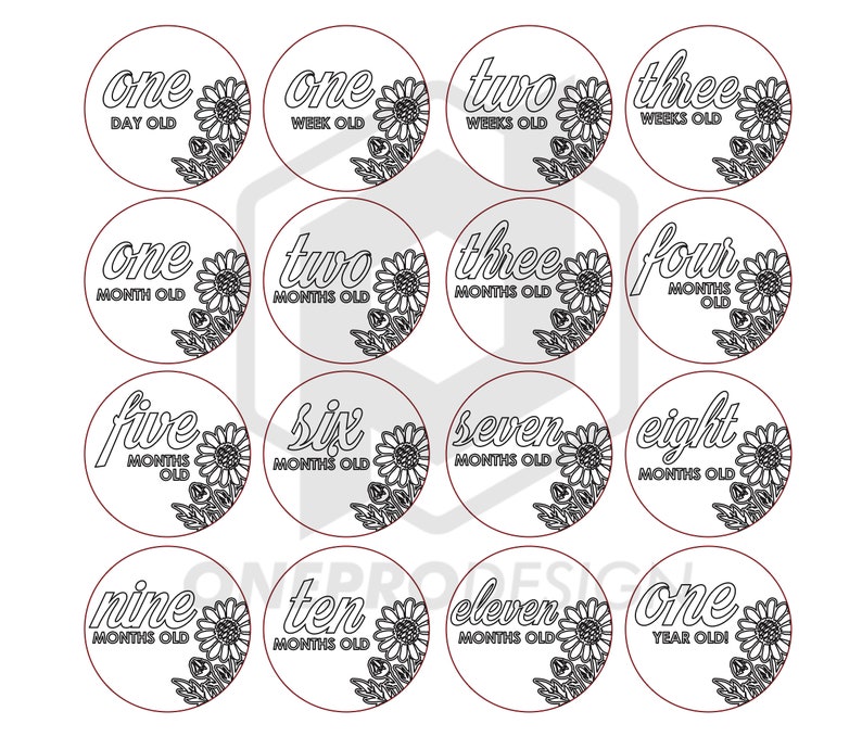 Wooden Baby Milestone Daisy Flower Svg / Pdf / Eps / Dxf - Etsy
