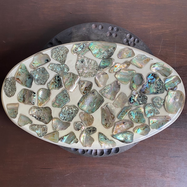 Shells in Lucite - Etsy