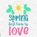 Spring SVG Bundle Spring Svg Easter Svg Spring Design for | Etsy