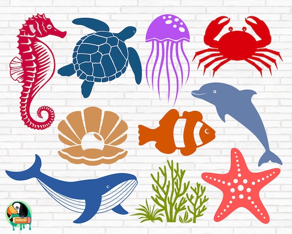 Ocean Animals SVG Bundle Sea Creatures Svg Seahorse Svg - Etsy