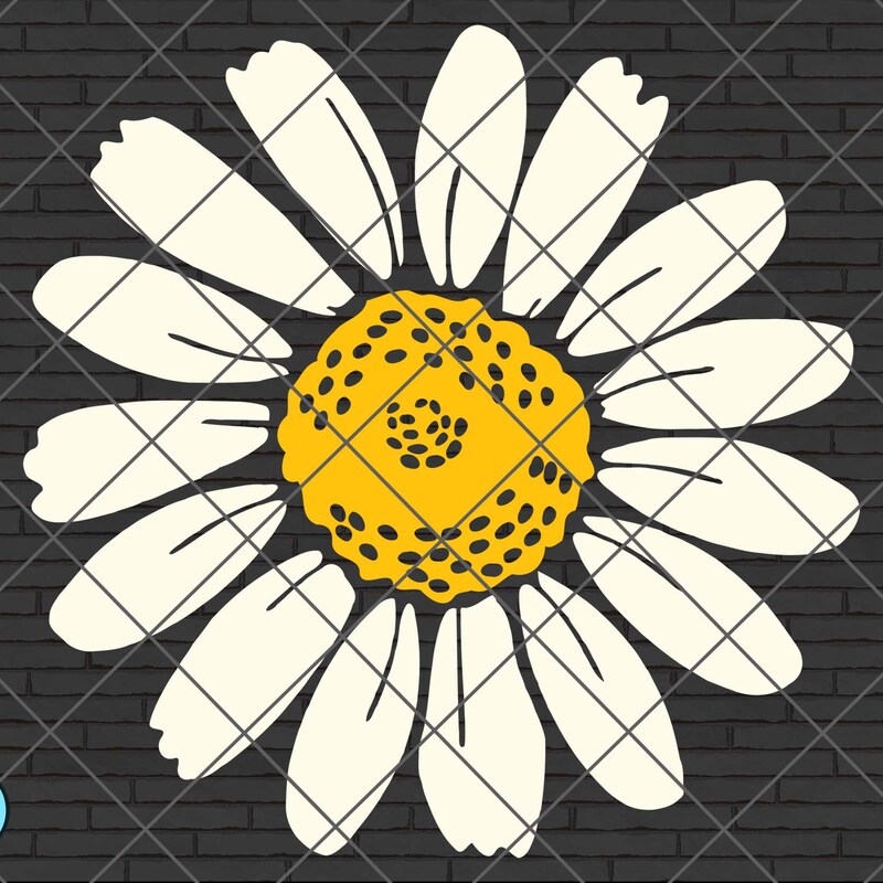 White Daisy Svg - Etsy