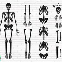 Skeleton Svg - Etsy