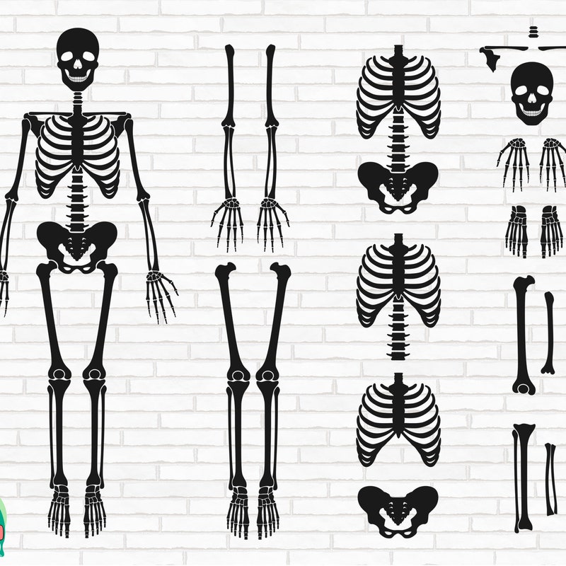 Skeleton Svg File - Etsy