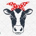 Cow With Bandana SVG Cow Bandana SVG Cow Face SVG Heifer Svg Cow Head ...