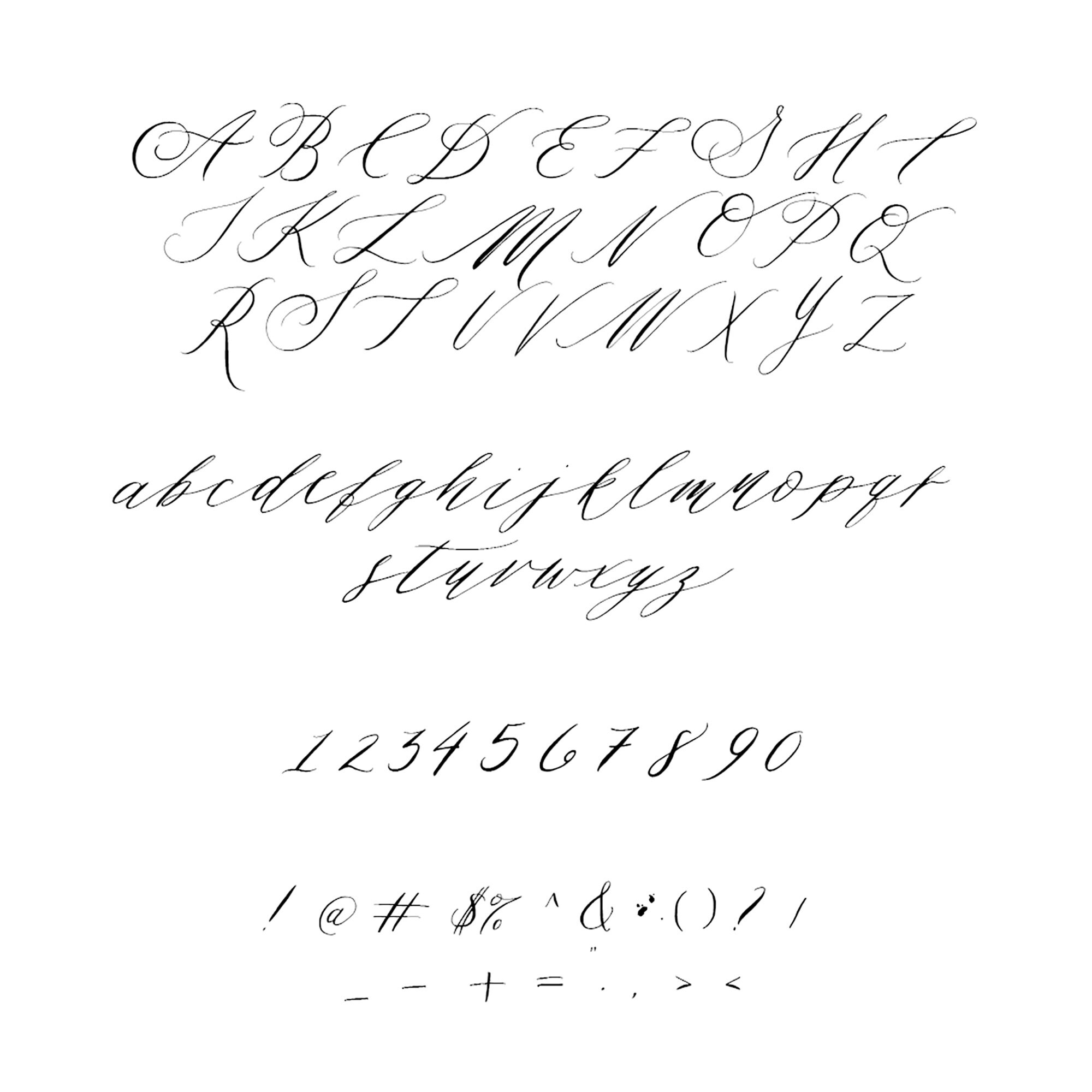 The Wells Makery Calligraphy Font - Etsy