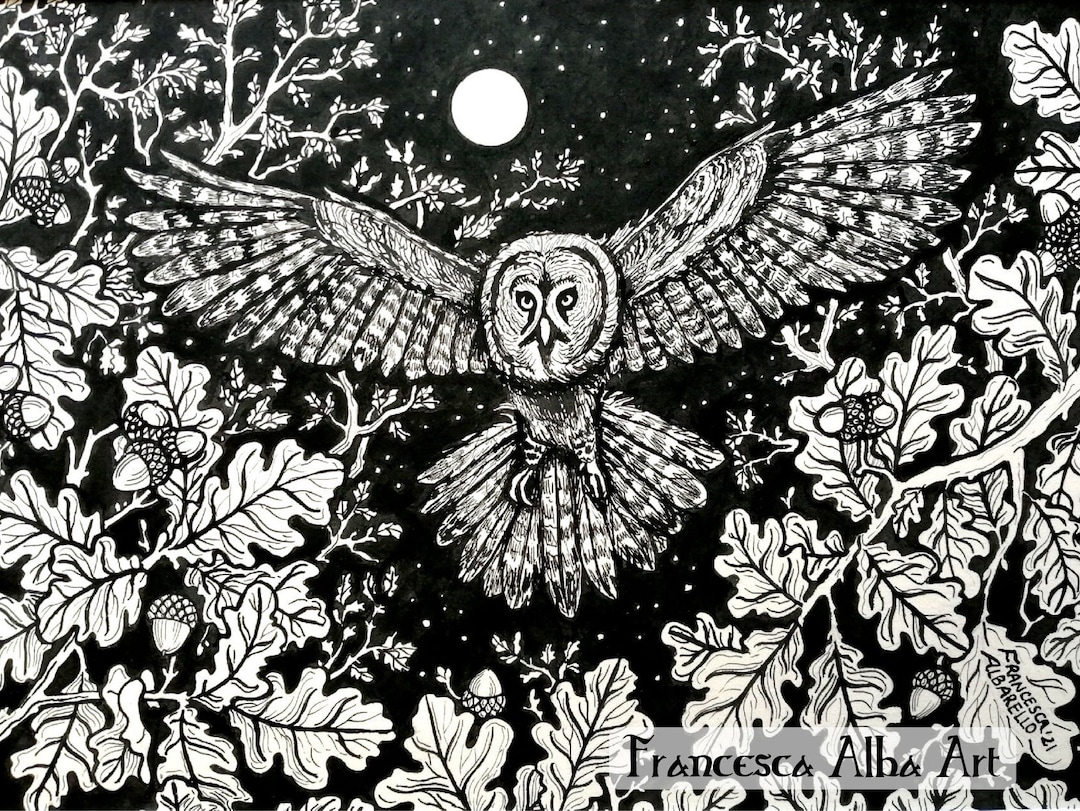 Cailleach Oidhche night Witch Owl-owl Illustration Tawny Owl Witch Ink ...