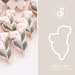 Calla Lily Cookie Cutter - Etsy