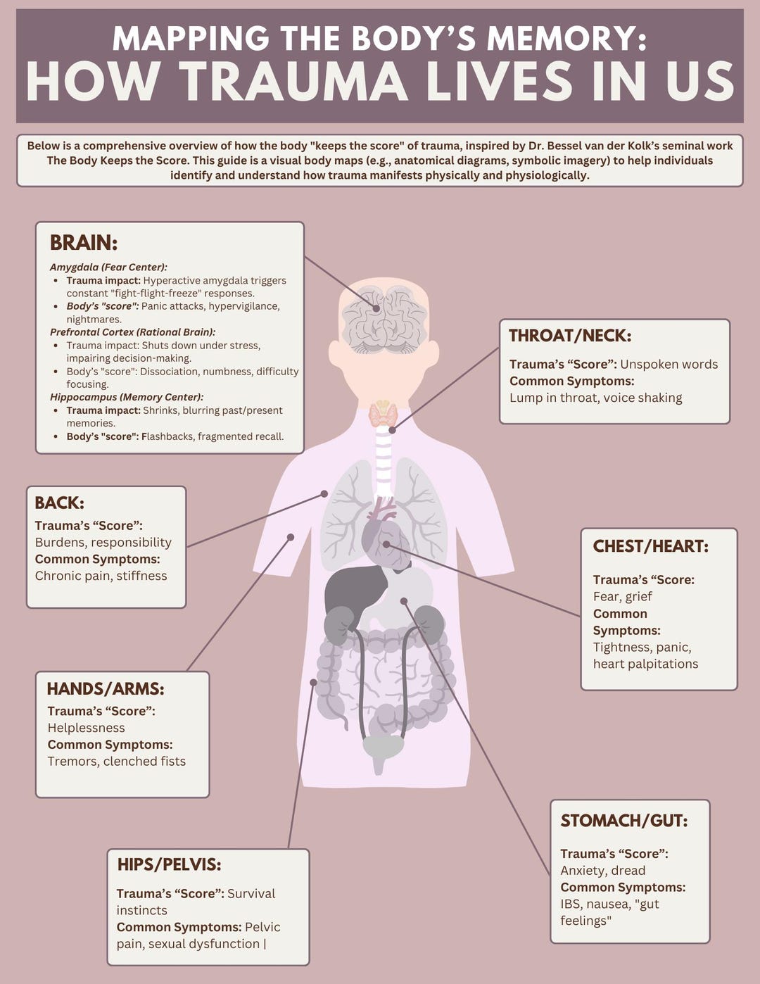 How Trauma Lives in the Body; the Body Keeps the Score; Where Trauma ...