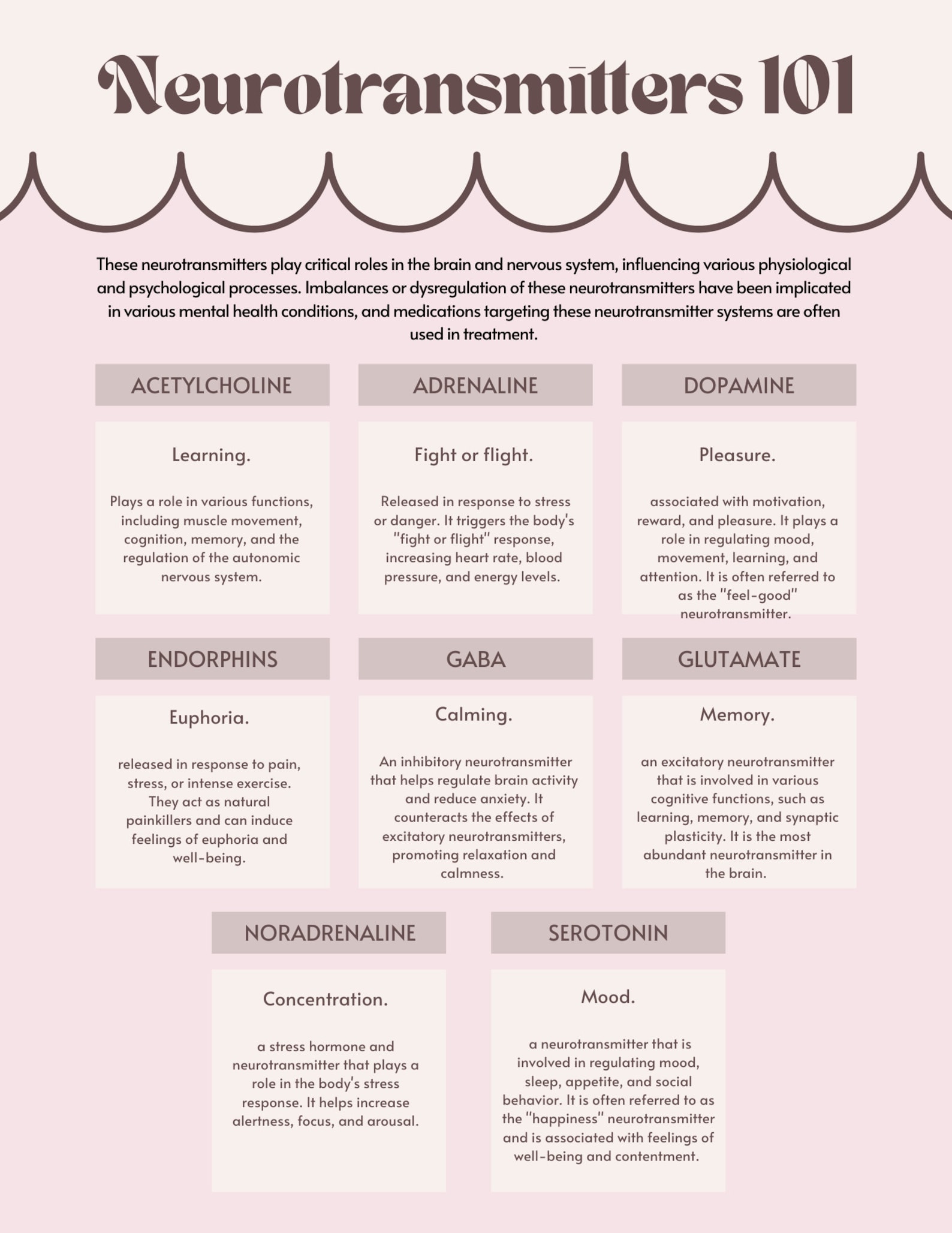 Neurotransmitters 101 Overview - Etsy