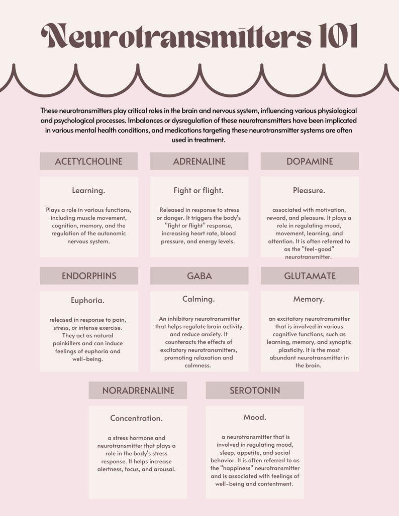 Neurotransmitters 101 Overview - Etsy