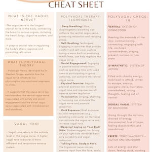 Vagus Nerve & Polyvagal Therapy Cheat Sheet - Etsy