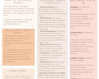 Polyvagal Theory Cheat Sheet, Nervous System Regulation Workbook ...