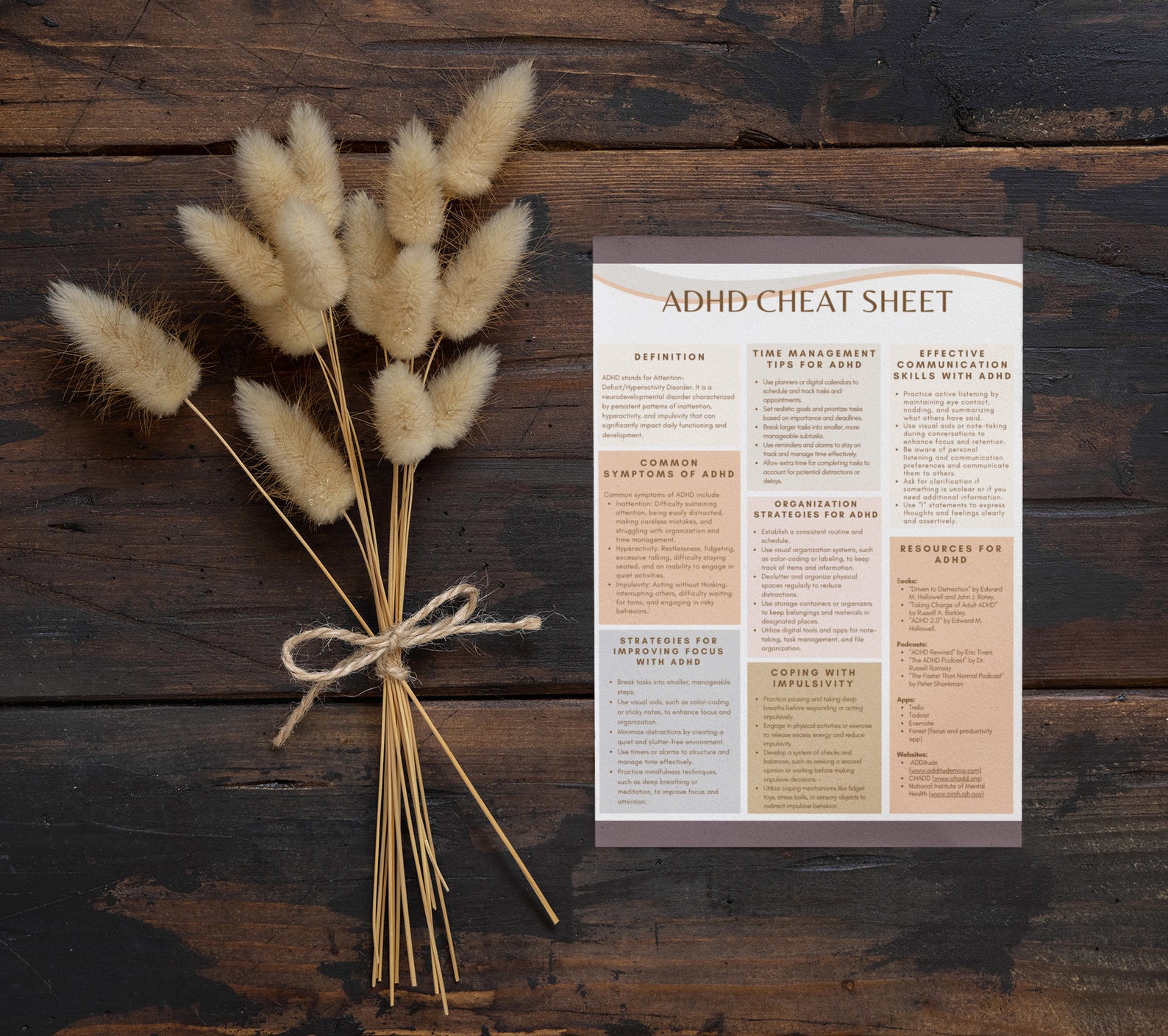 Adhd Cheat Sheet Attention Deficit Hyperactivity Disorder Resources