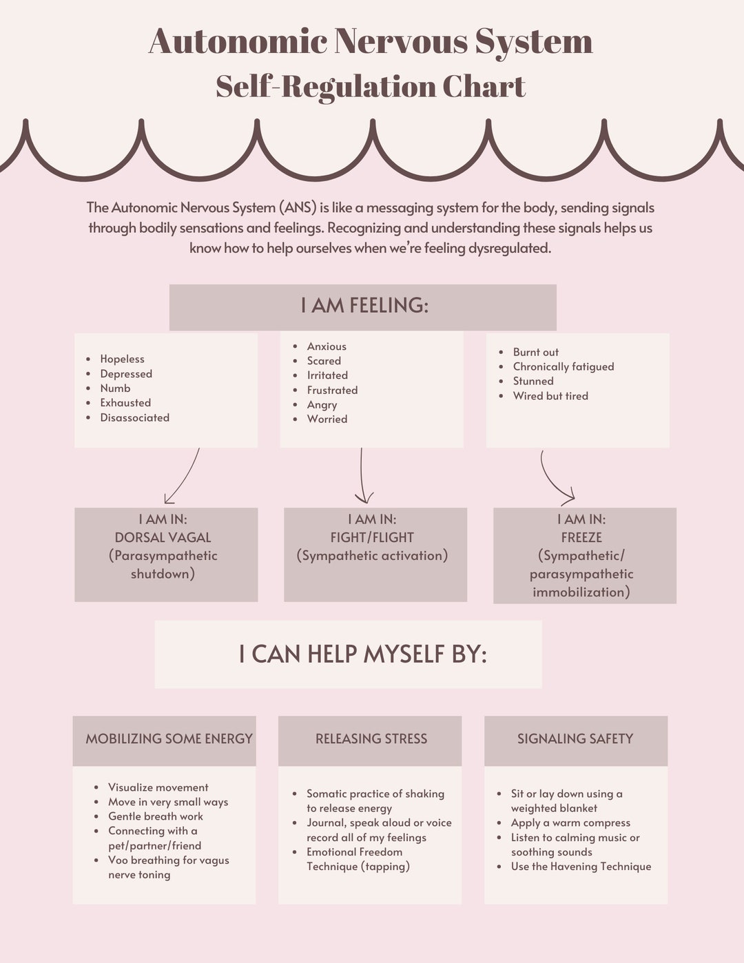 Autonomic Nervous System Self-regulation Chart ANS Self-regulation ...