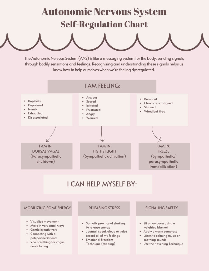 Autonomic Nervous System Self-regulation Chart ANS Self-regulation ...