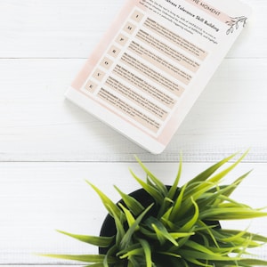 IMPROVE the Present Moment DBT Skill - Etsy