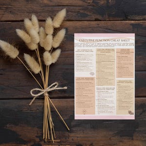 Executive Function Cheat Sheet; ADHD Tools; ADHD Resources ...