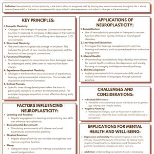 Neuroplasticity 101 Understanding the Brain's Ability to Change ...