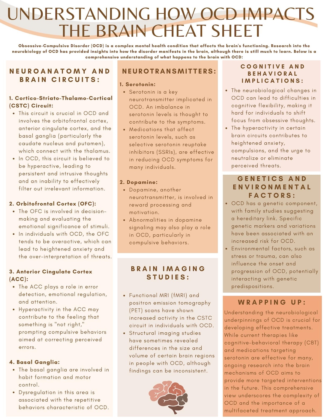 Understanding the Brain and OCD; Obsessive Compulsive Disorder Cheat ...