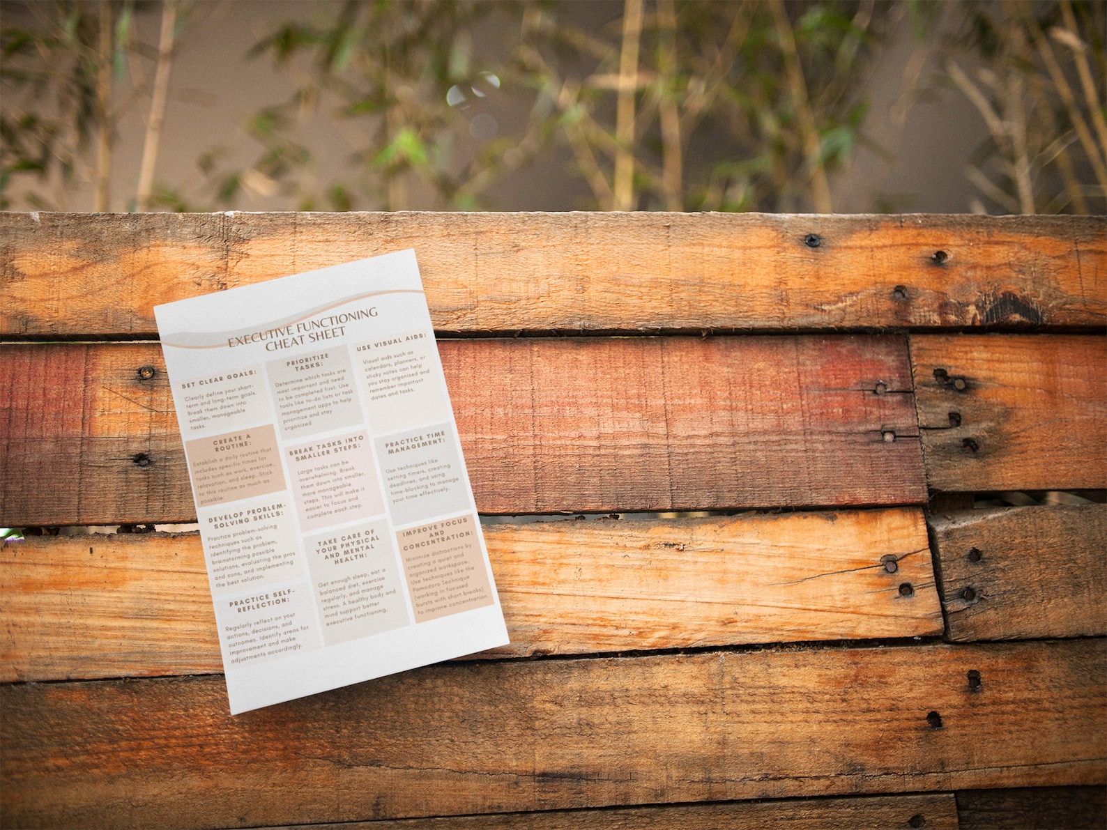 Executive Functioning Cheat Sheet - Etsy