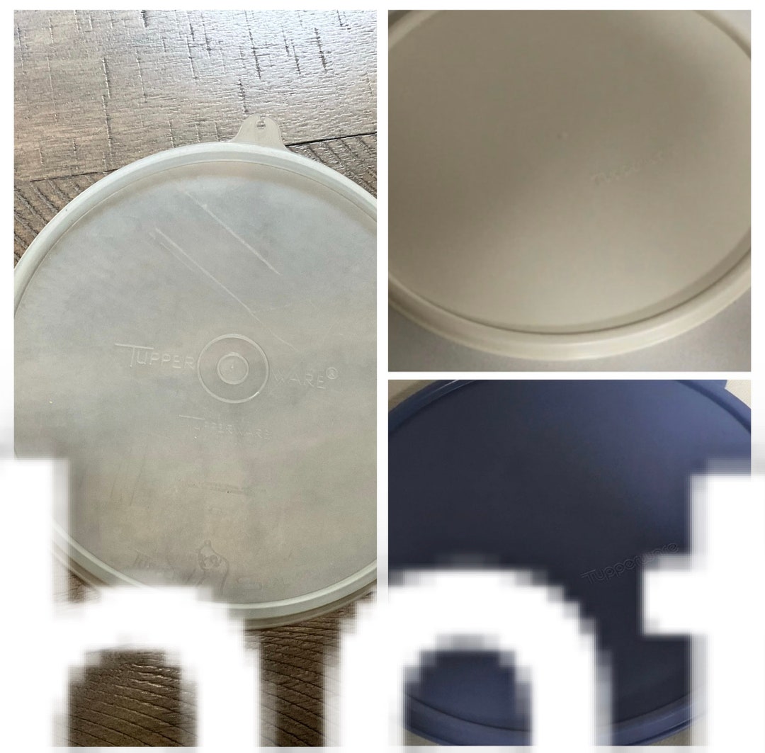 Tupperware 229 2516 Y Fits Same as 229 Replacement Lid Seal Butterfly ...
