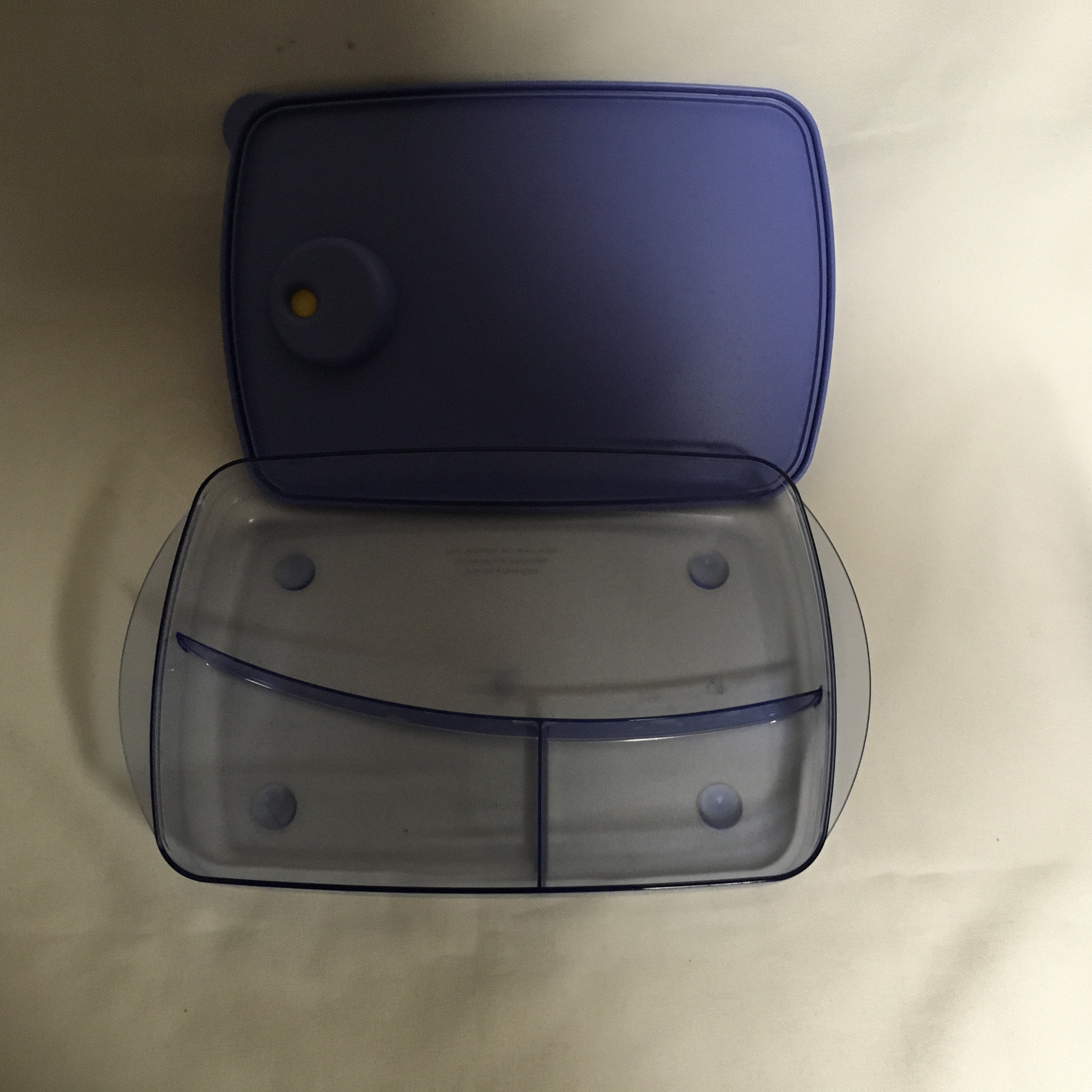 Tupperware Rock N Serve Rectangle Divided Dish 3990 3382 Microwave ...