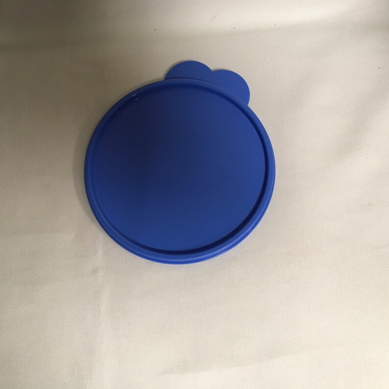 Tupperware Replacement Lid 6793 Butterfly Tab Same Fit as B 238 2541 C ...