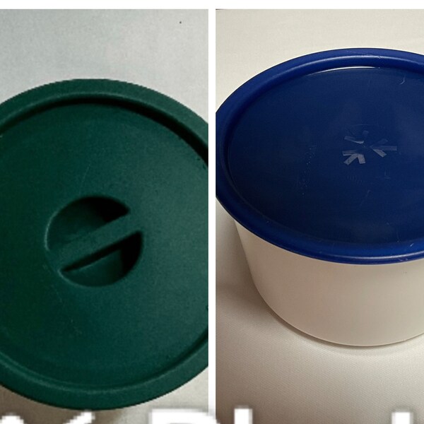 Tupperware Garlic Keeper Onion Keeper Tomato Keeper Locks in Freshness ...