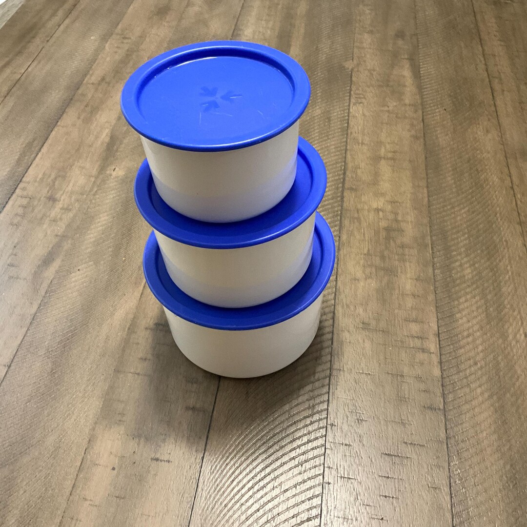 Tupperware Canister Topper Set Short Canister White Blue One Touch Set ...