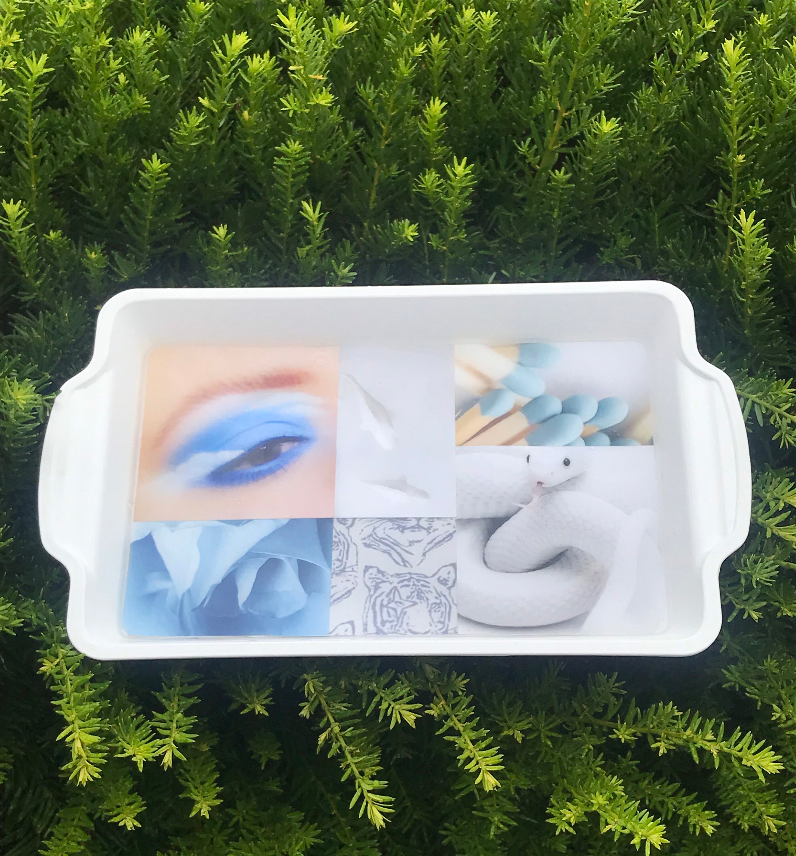Blue and White Photo Collage Tray - Etsy