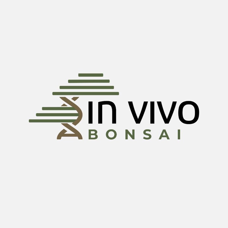 25 Mendocino Pygmy Cypress Seeds (w/ 10-year Bonsai Growing Guide ...