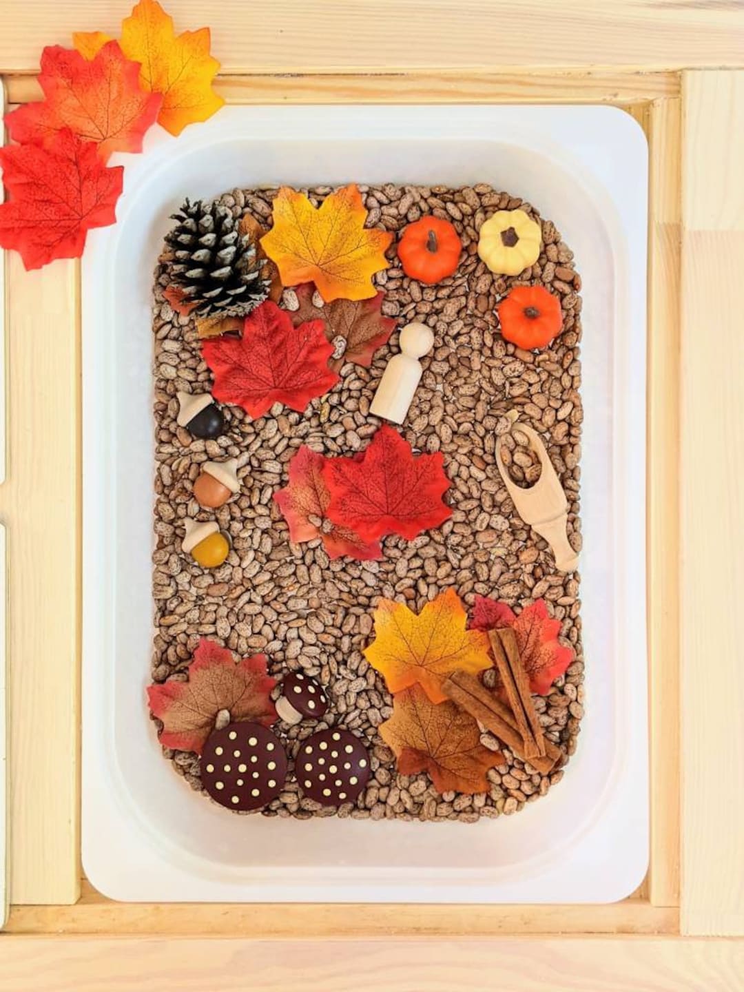 Fall Sensory Bin | Fall | Autumn | Pumpkins | Acorns | Leaves ...