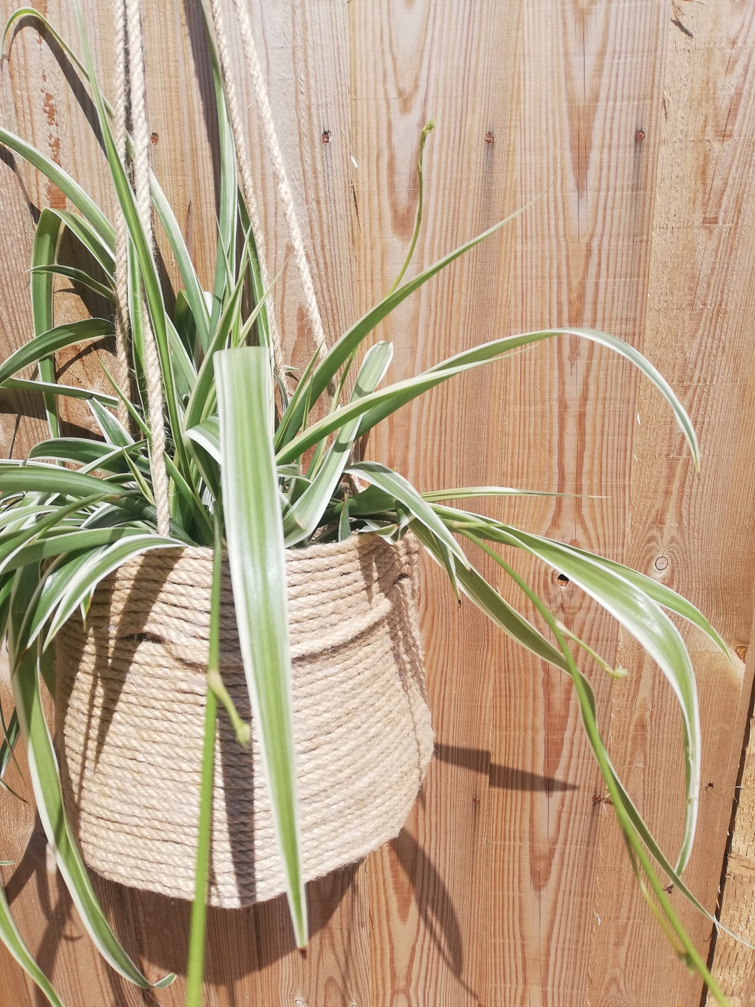 Jute Hanging Planter L Plant Pot - Etsy