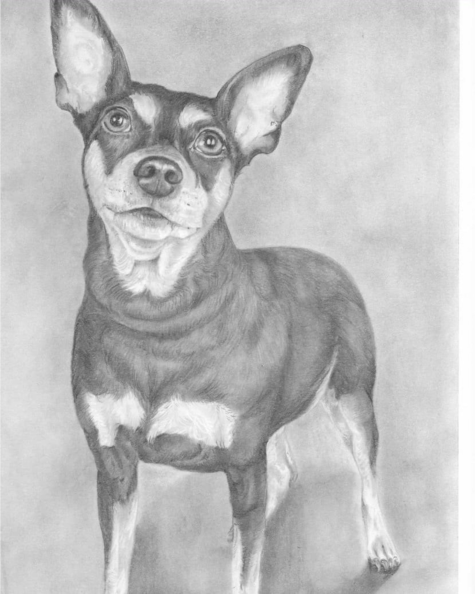 Example of Commissions - Etsy