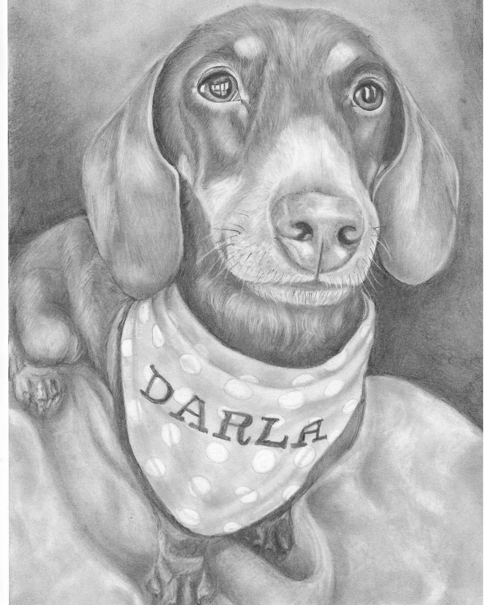 Example of Commissions - Etsy