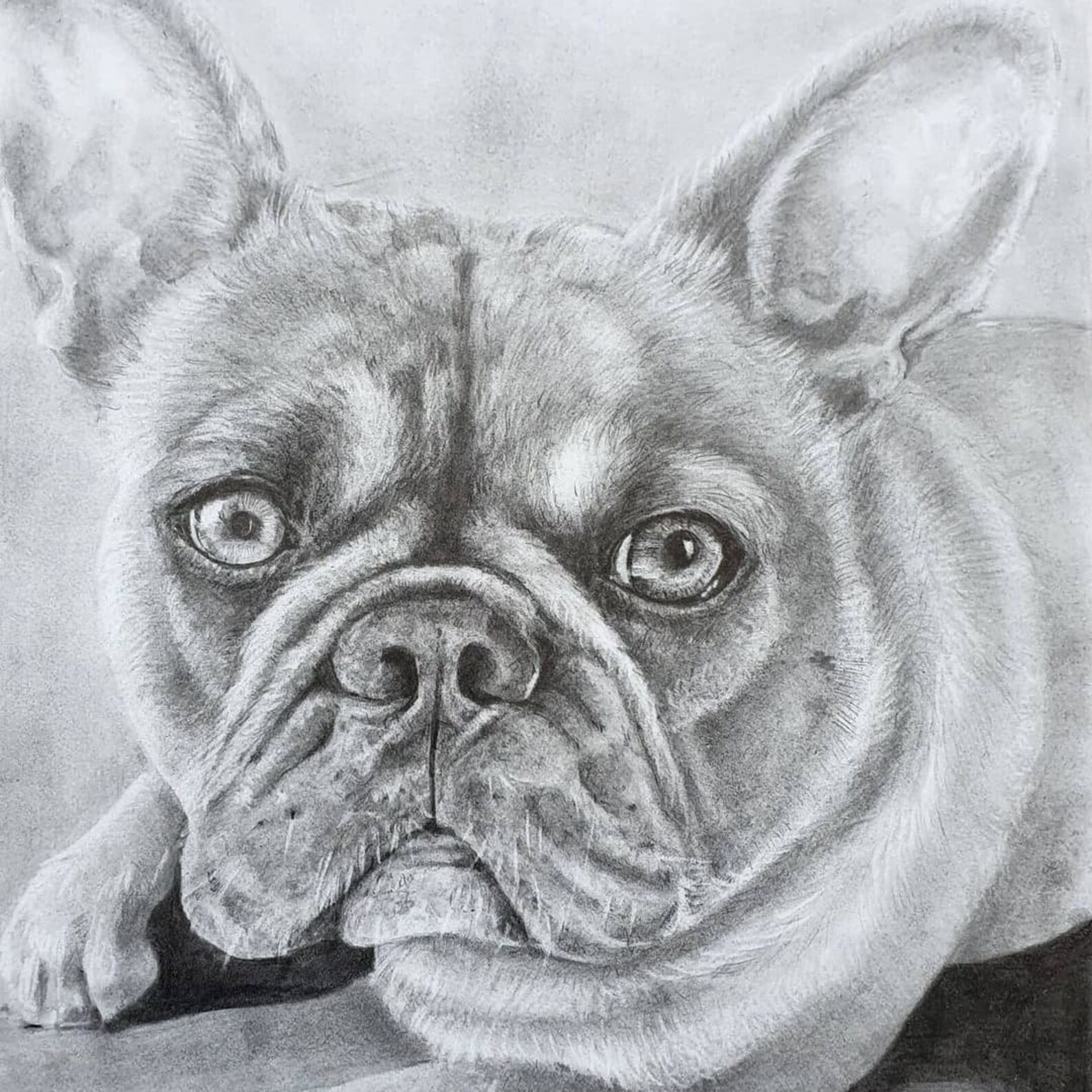 Example of Commissions - Etsy