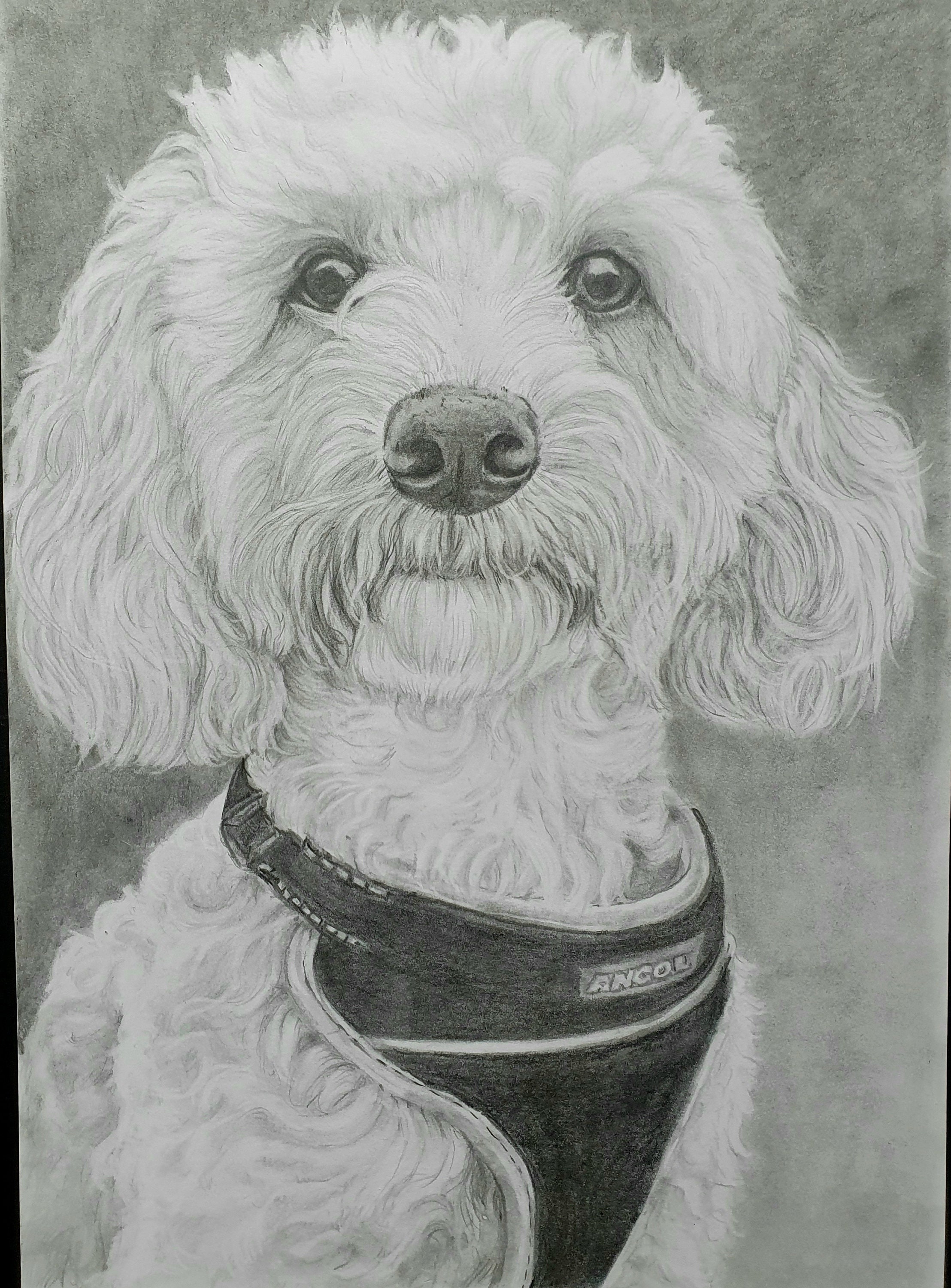 Example of Commissions - Etsy