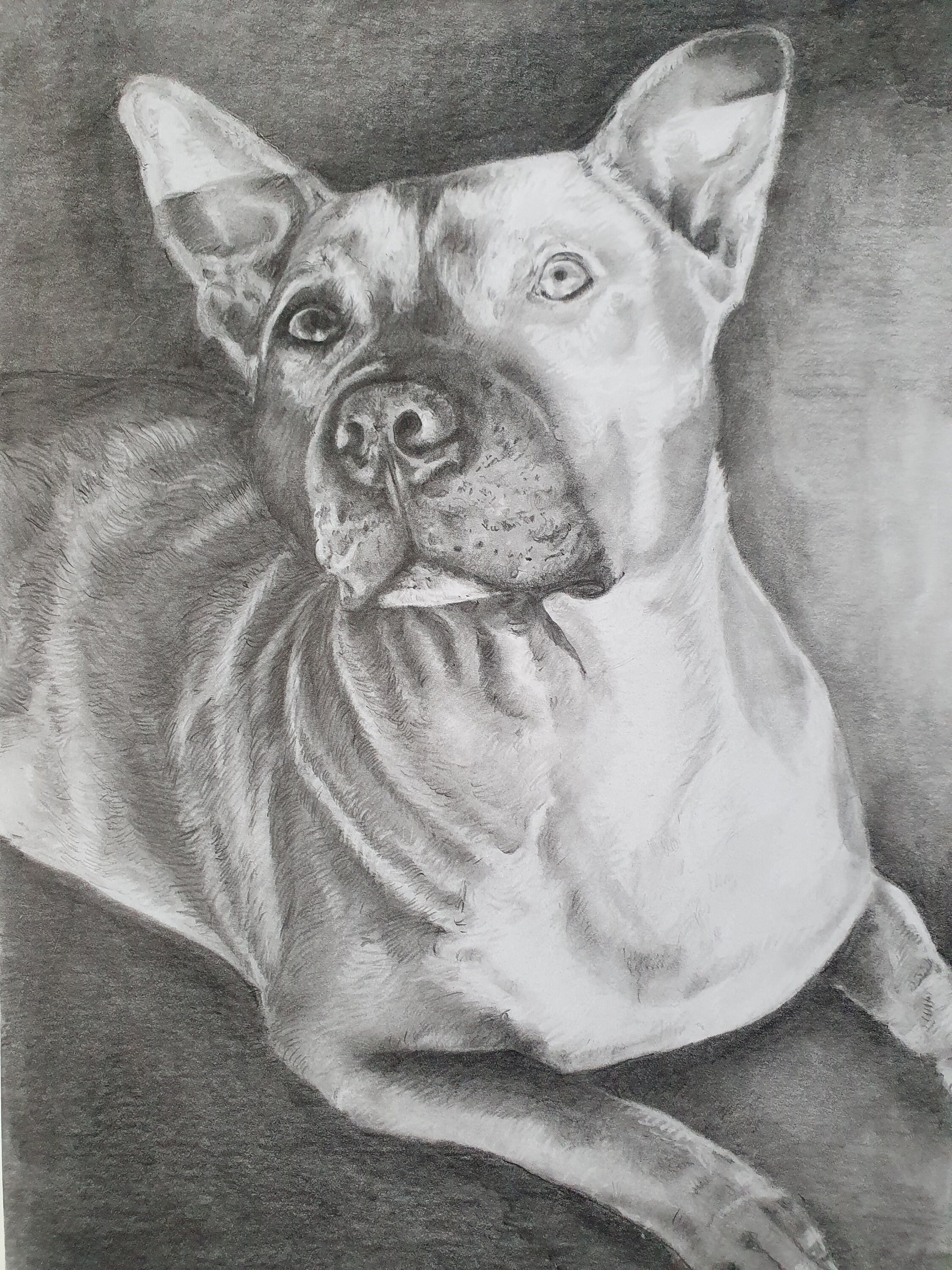 Example of Commissions - Etsy