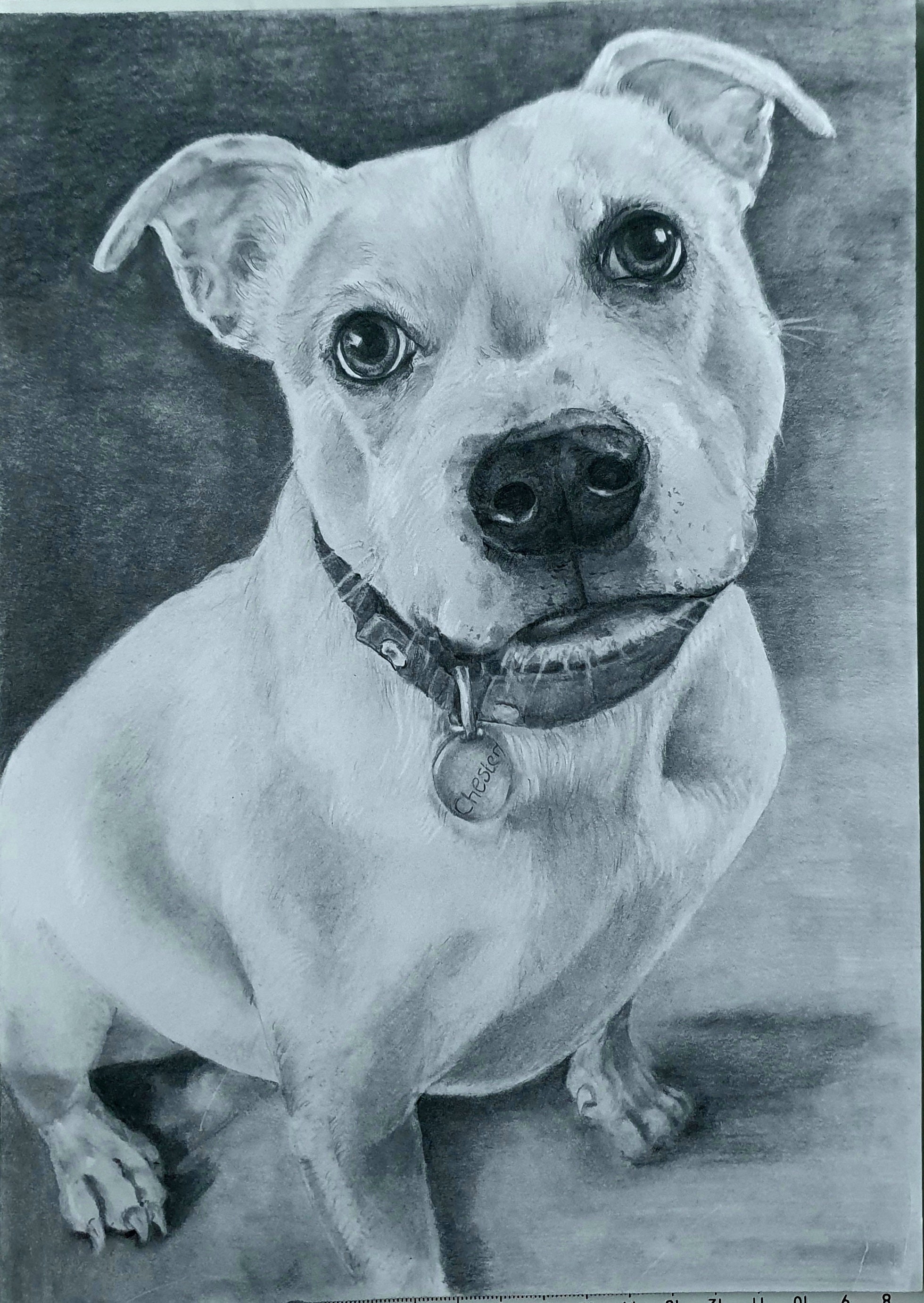 Example of Commissions - Etsy