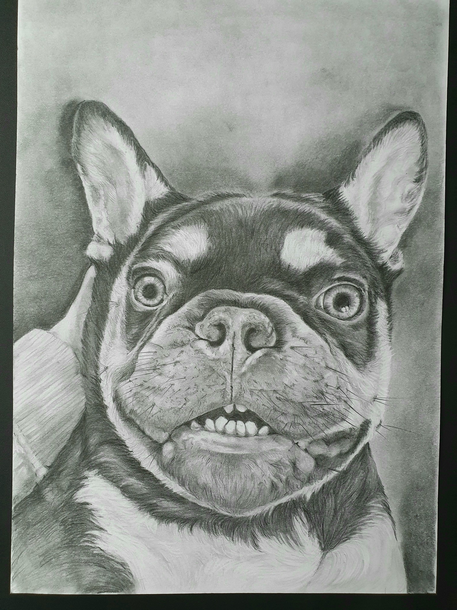 Example of Commissions - Etsy