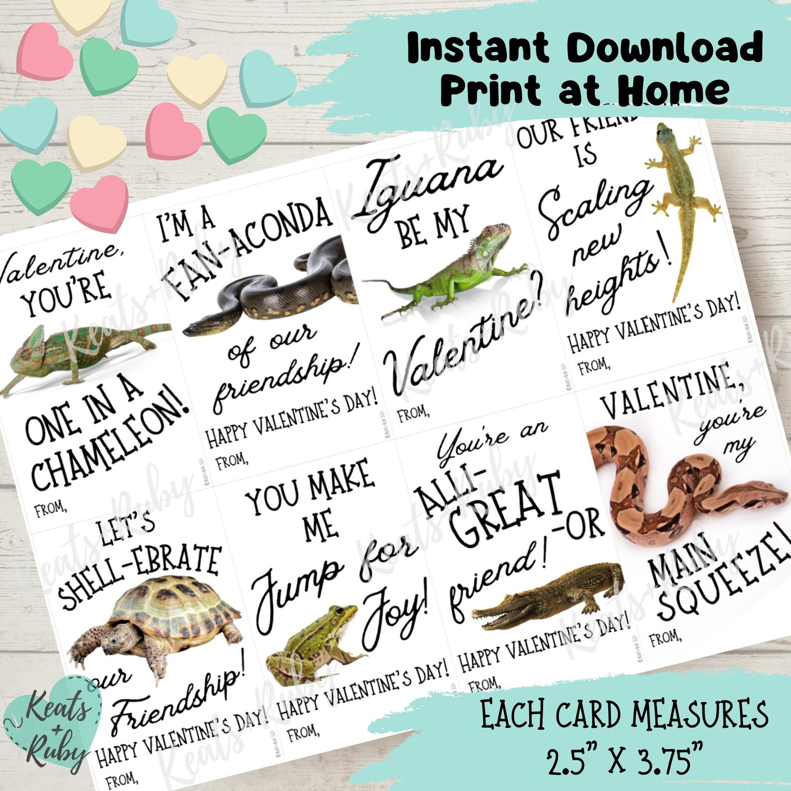 Reptile Valentine's Day Cards - 8 Unique Designs | Snake, Lizard ...