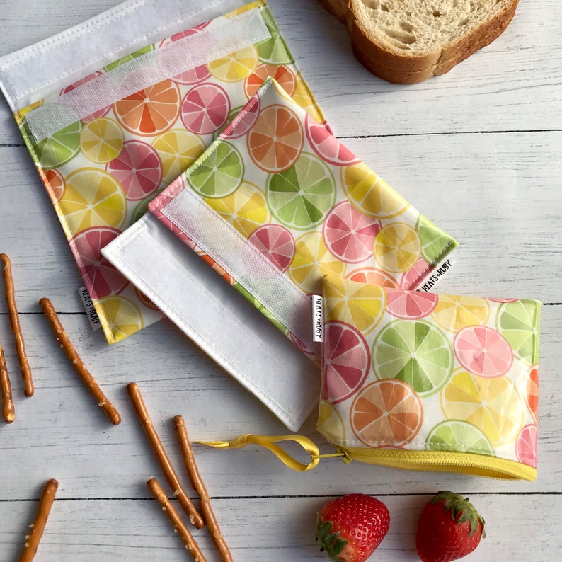 Citrus Reusable Snack Bags Sandwich Bags Zipper Bags - Etsy