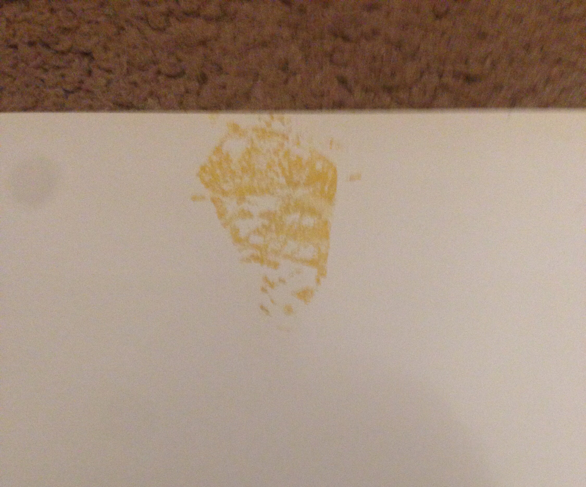 Rie Muñoz Art Print iditarod, Shaktoolik Signed and Numbered 28/750 - Etsy