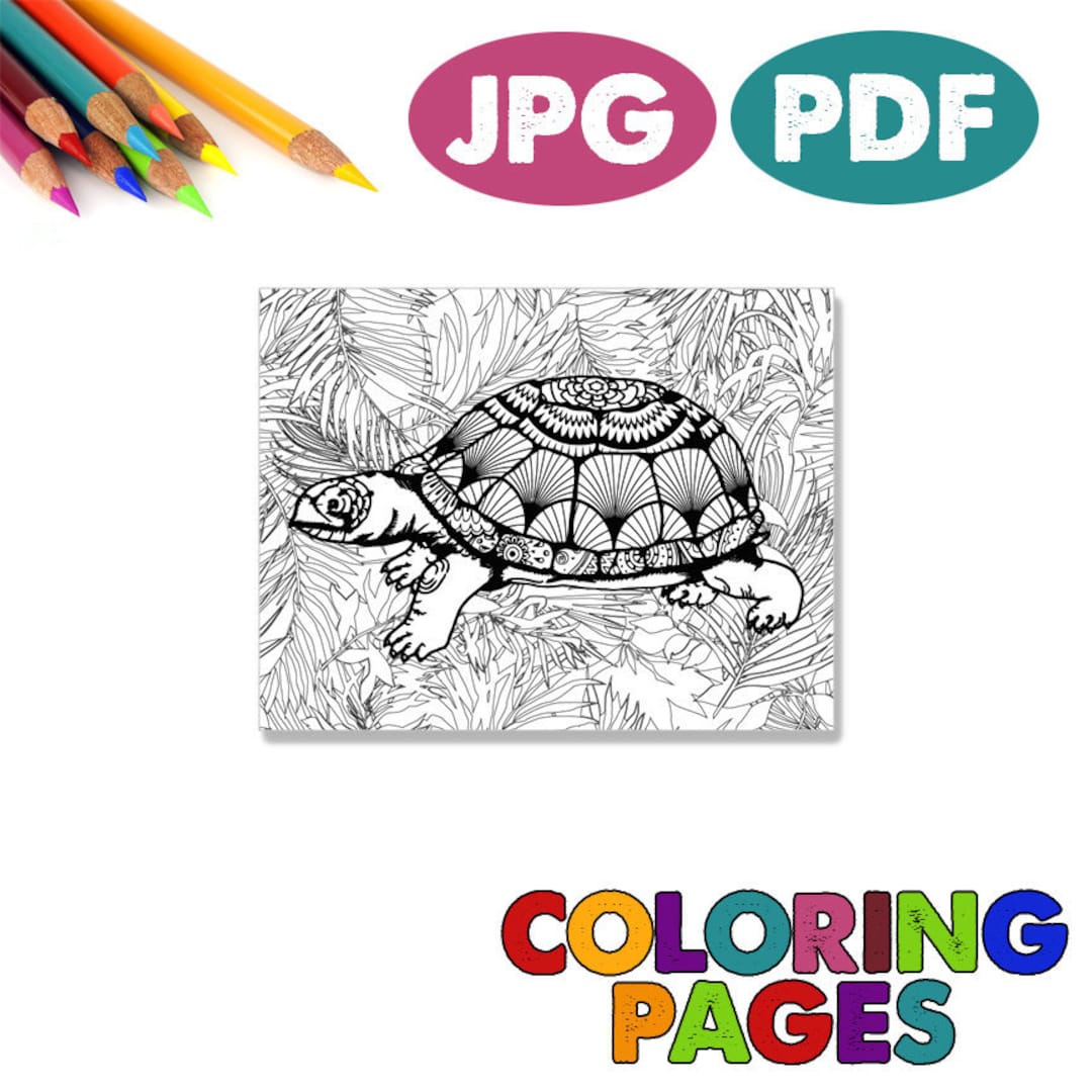 Turtle Coloring Page | Coloring for Adults | Coloring for Kids ...