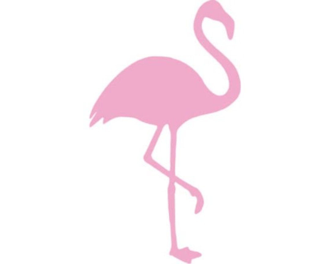 Pink Flamingo Transfer, Loves Flamingos Heat Transfer, Pink Flamingo ...