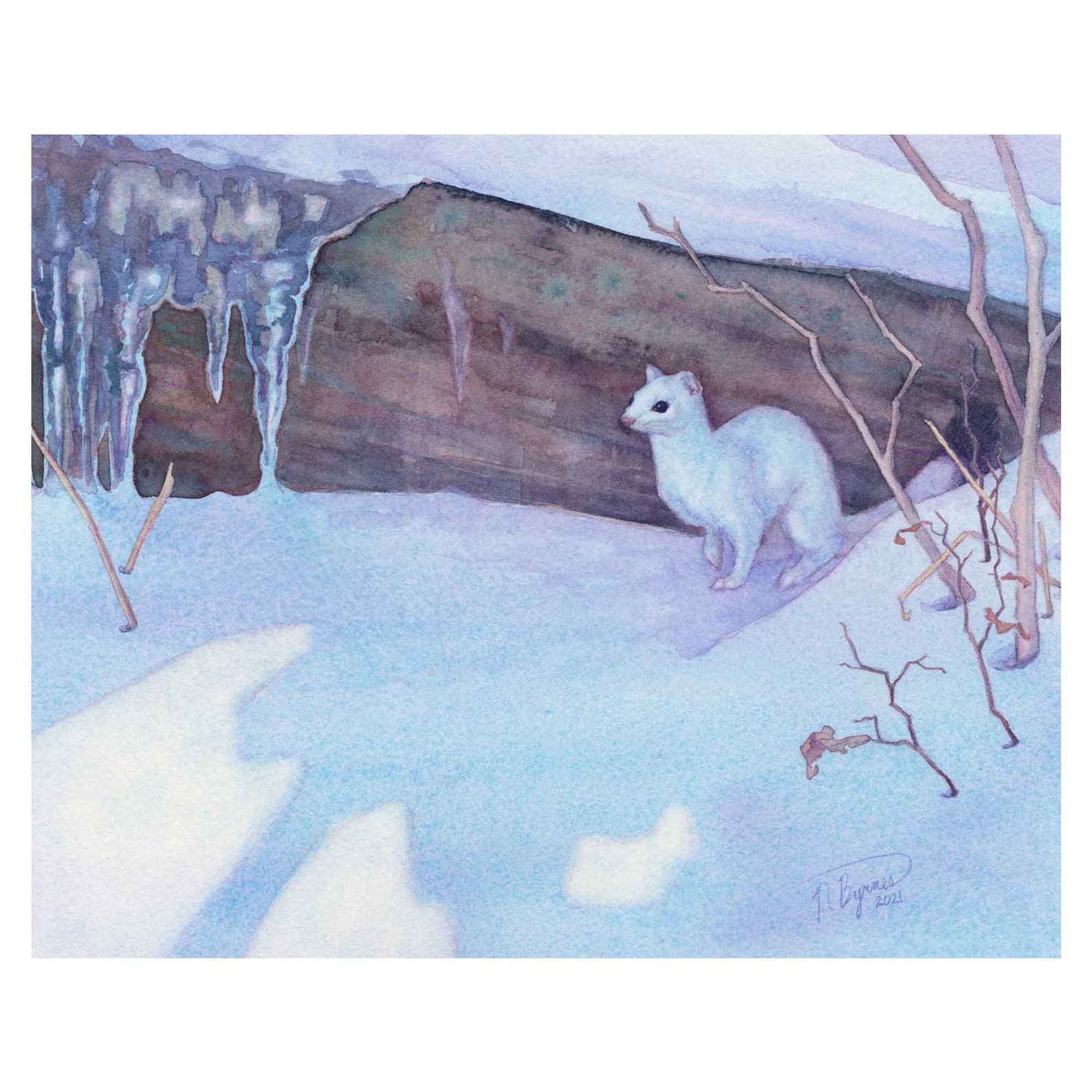 Print Winter Weasel Ermine Illustration winter Weasel - Etsy